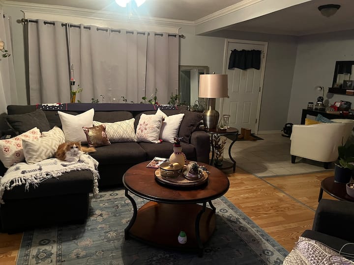 2 Story Beautiful Eclectic Home - Buffalo, NY