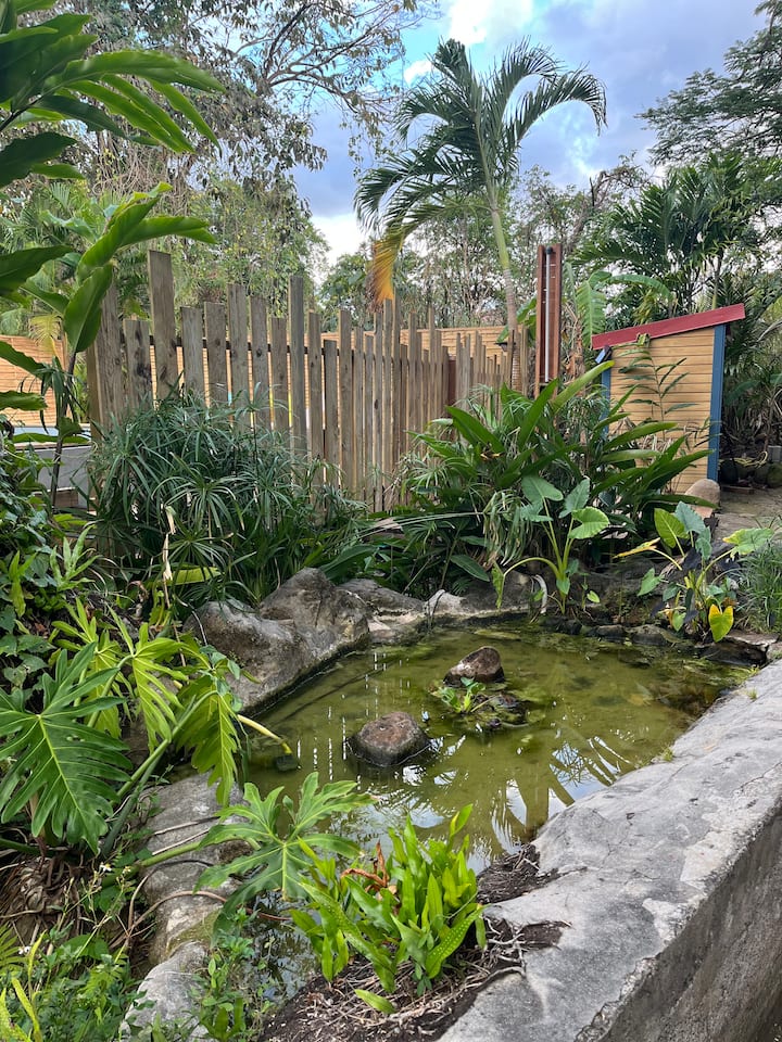 Le Morne Aux Fous - Bâbord - Deshaies