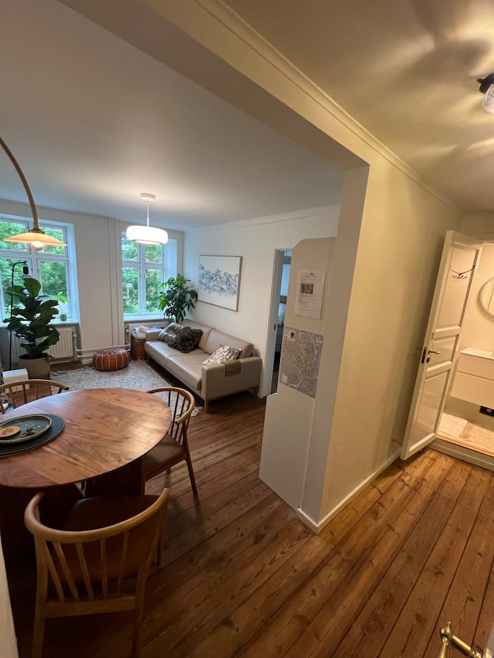 Charming 1 Bedroom Flat By Lakes - Copenhagen