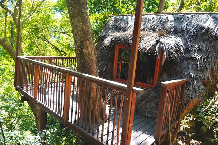 Casa En El áRbol Con Playa De Río Y Desayuno. - Minca
