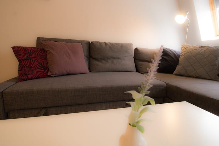 Classic & Cozy | Lf34 - Viena