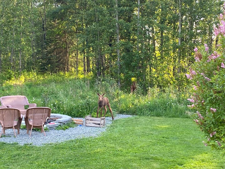 Private 3br • Walk To Kenai River • Quiet Area - Soldotna, AK