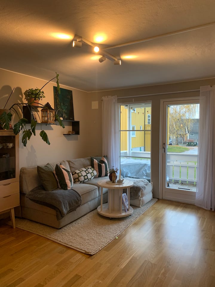 Leilighet I Trondheim - Trondheim