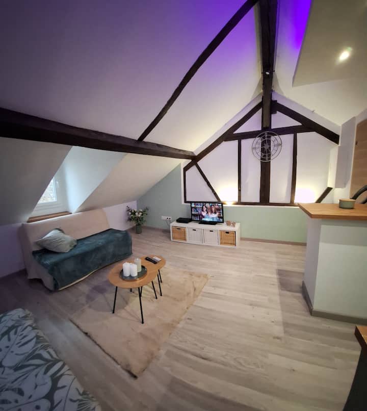 Studio Hyper Centre De Rouen - Rouen