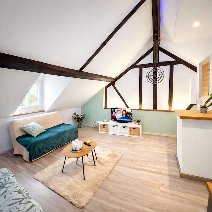 Studio Hyper Centre De Rouen - Rouen