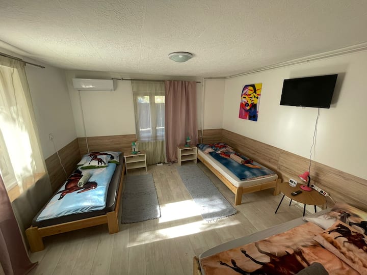 Teljes Ház Zárt Udvari Parkoló - Kecskemét