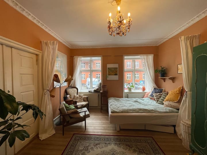 Charmerende Lejlighed, I Hjertet Af Nørrebro - コペンハーゲン