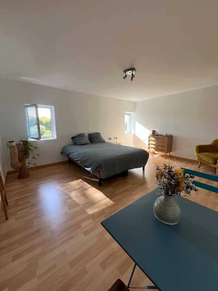 Spacieuse Chambre Vue Saône Sur La Voie Bleue - Belleville, France