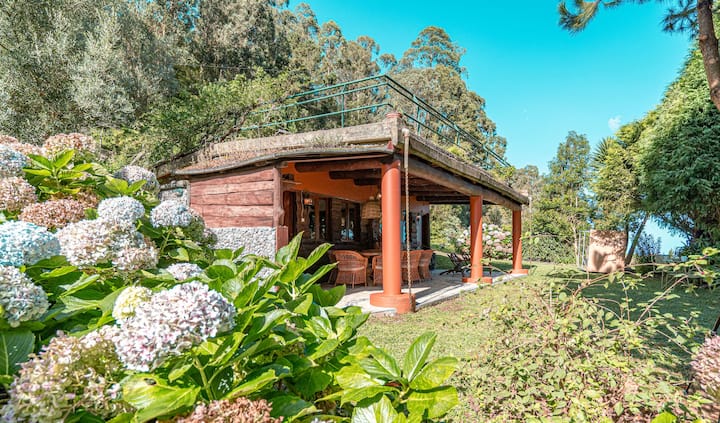 Quinta São Jorge - Abrantes