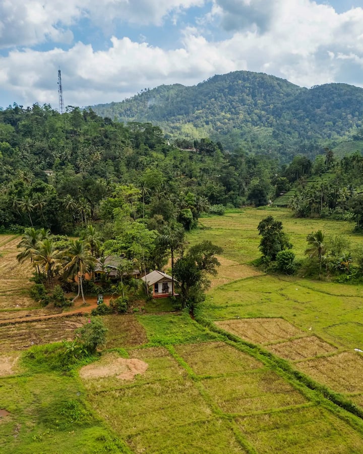 Family Villas Near Sinharaja, 5 Min Walk - Sri Lanka