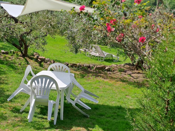 House In Tuscany: San Gimignano View - Tuscany