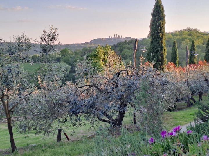Tuscany House: Garden San Gimignano Towers View - San Gimignano