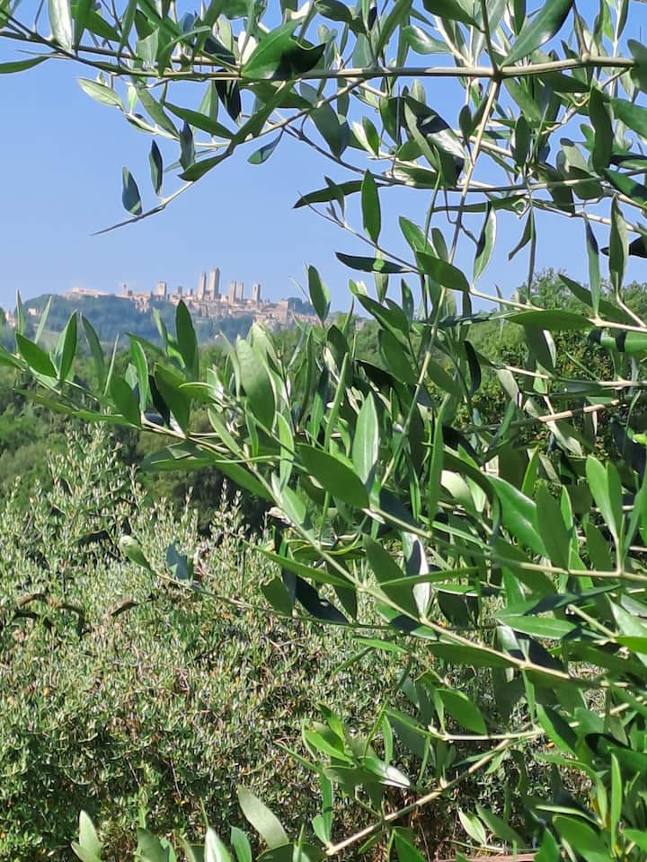 Tuscany House: Near San Gimignano, Siena, Firenze - Toscana