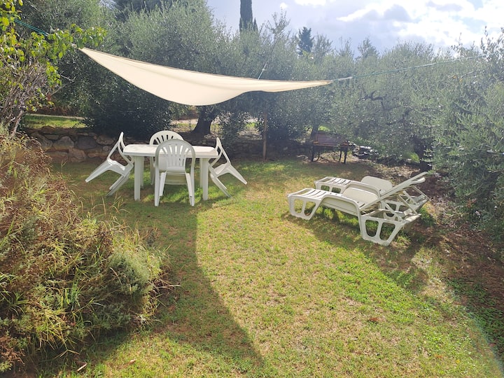 House In Tuscany: San Gimignano View - San Gimignano