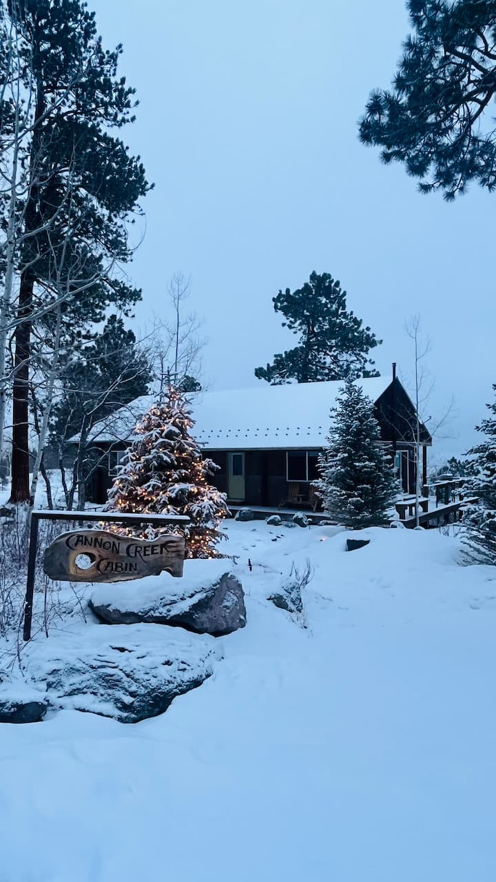 Cannon Creek Cabin - Ouray, CO