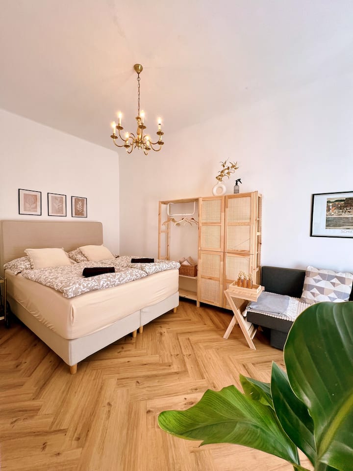 Charmante Altbauwohnung Im Herzen Von Graz - Graz