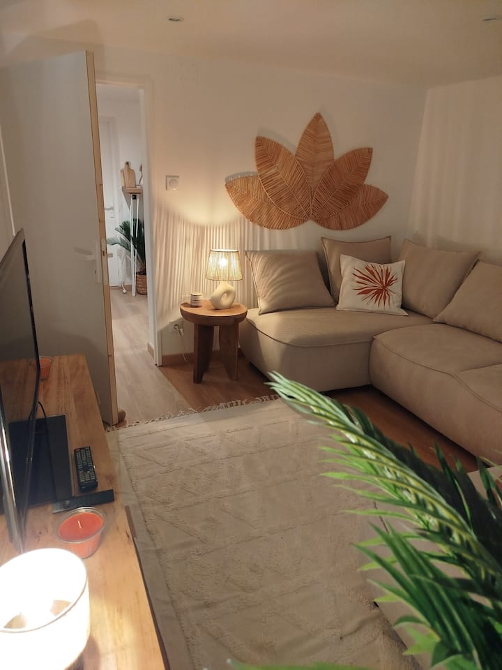 Sous-sol Cosy & Exotique - Strasbourg