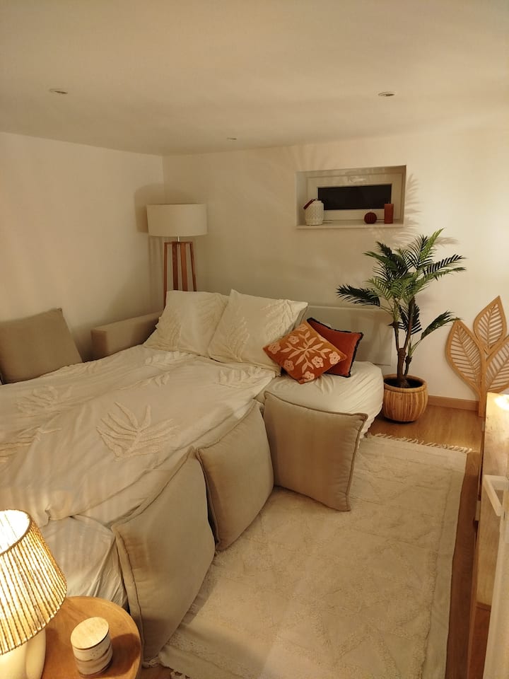 Sous-sol Cosy & Exotique - Geispolsheim