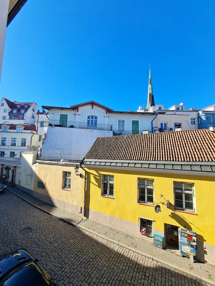 Leo’s Old Town Collection - 5 Olevimägi Residences - Tallin