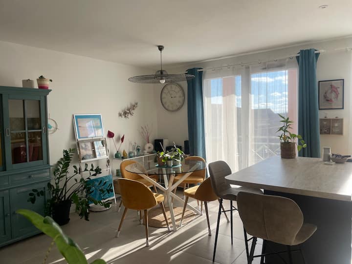 T2 Sud De Toulouse Vue Pyrénées - Toulouse