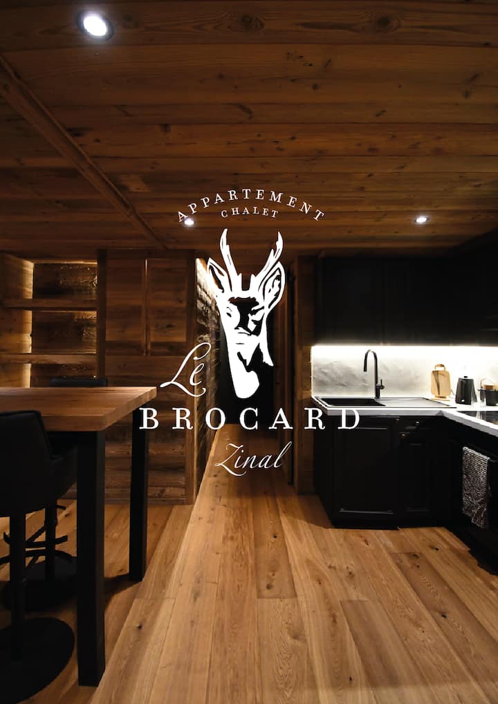 Appartement Aux Pieds Des Pistes à Zinal - Zinal