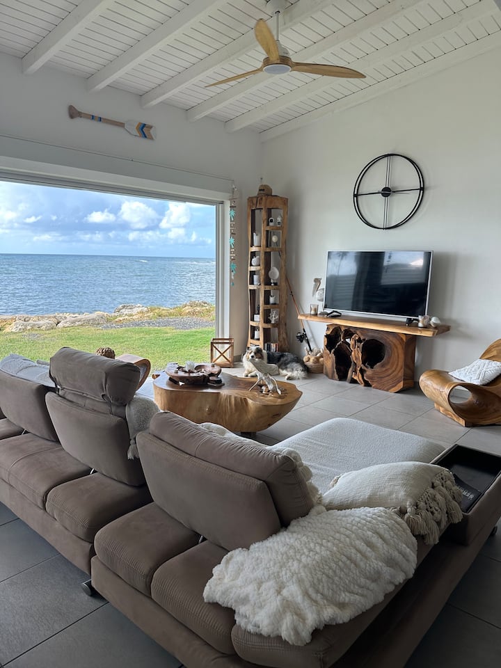 Location De Standing : Au Bord De L Eau : Le Rêve - Anse des Rochers