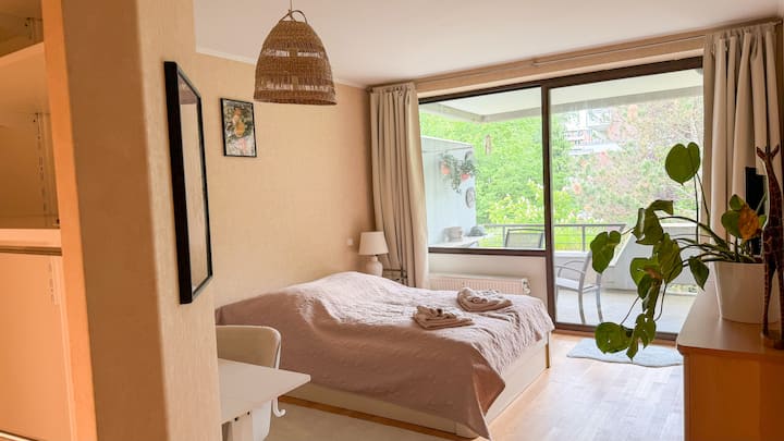 Helle Wohnung Mit Balkon Und Arbeitsplatz - Aachen