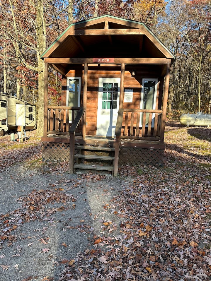Birch - Donegal, PA