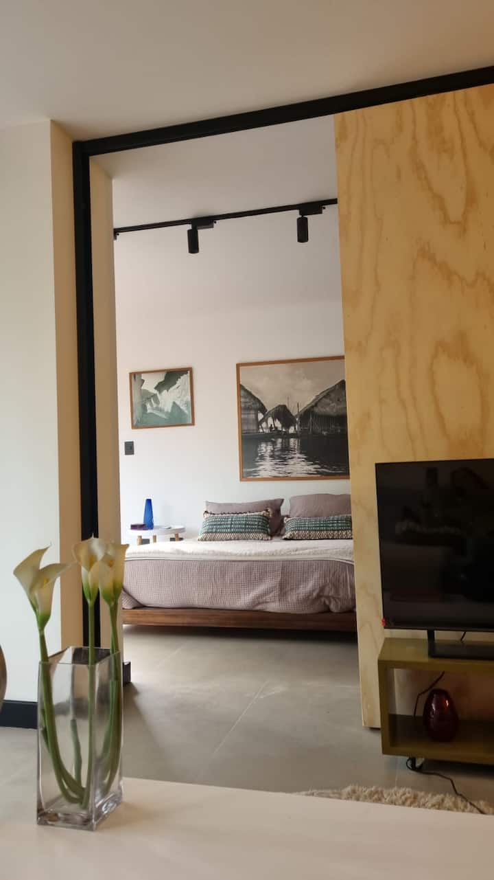 Pucon Depto Boutique , Frente Playa. - Pucón