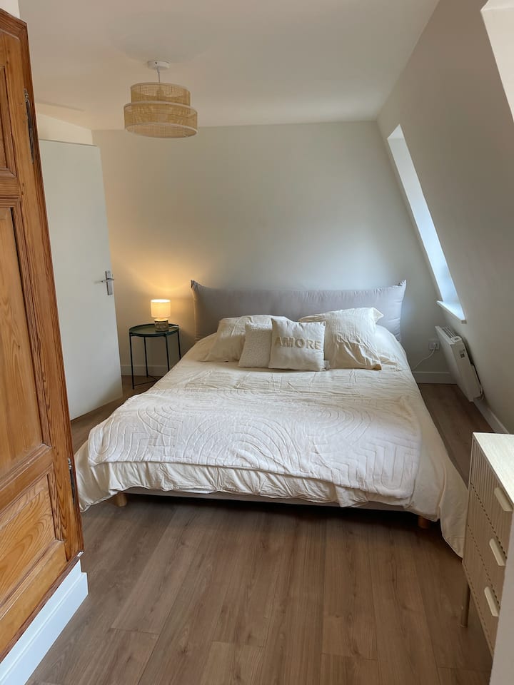 Nouveau- Joli Cocon à 6 Minutes De La Cathédrale - Strassburg