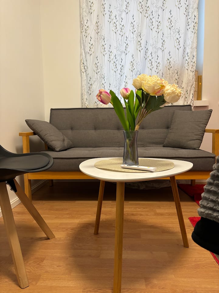 Cozy 2 Bedroom Near Metro Station And Market - Helsinki