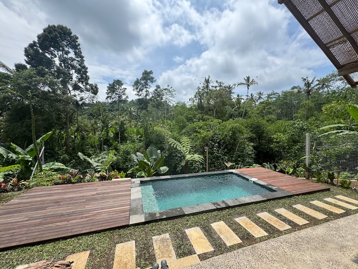Nature Villa With Infinity Pool Near Penglipuran - Bali