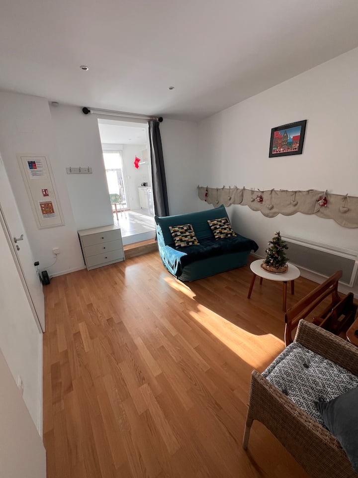 2 Pièces Tout Confort Avec Terrasse Et Parking - Horbourg-Wihr