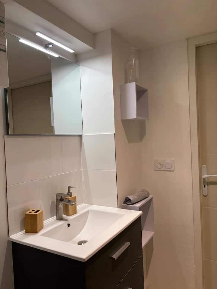Appartement Entièrement Rénové Et Meublé - Les Carroz d'Arâches