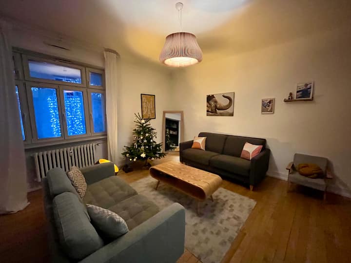 Appartement Familial Plein Centre De Strasbourg - Strasbourg