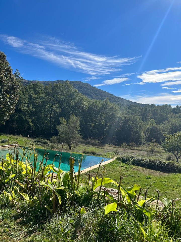 Grand Mas Au Coeur De La Forêt - Le Pradet