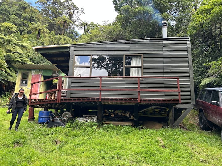 Get Back To Basics. - Lower Hutt