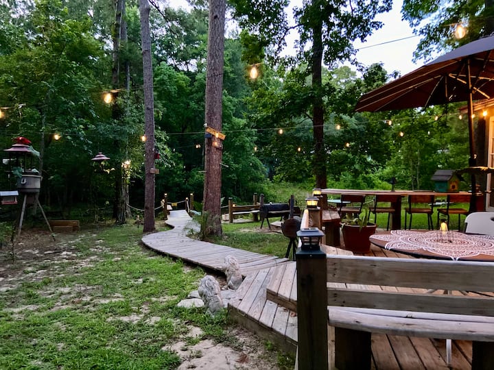 Flyybyeinn-sam Houston National Forest - Lake Conroe, TX