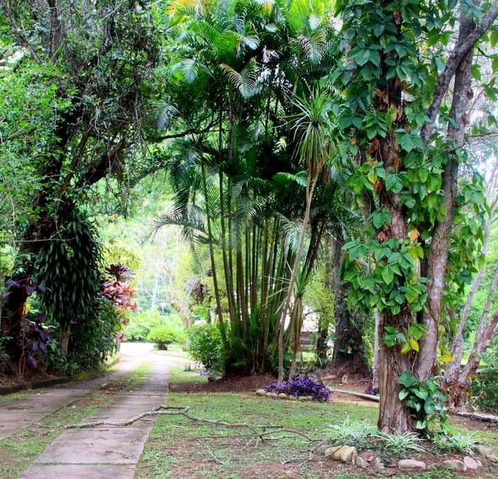 Maravilhoso Sítio Em Itaipava - Petrópolis