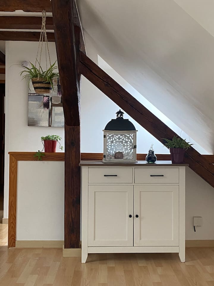 Appartement Strasbourg - Strasbourg