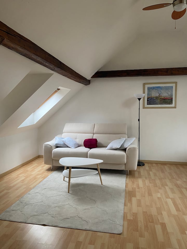 Appartement Strasbourg - Strasbourg