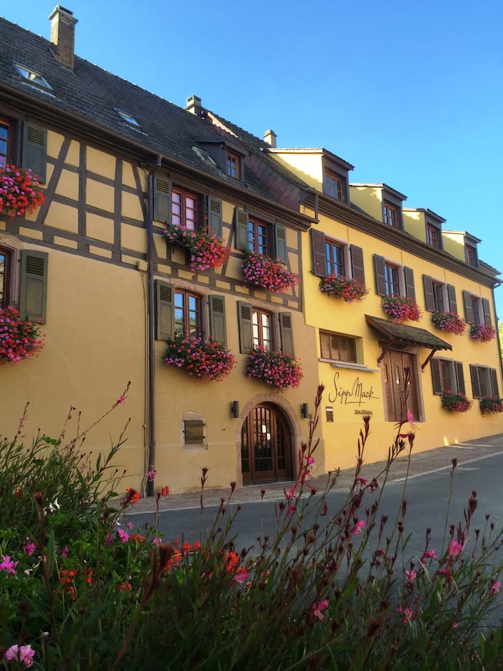 Gîte Amélie Au Cœur Du Vignoble Alsacien - Mittelwihr