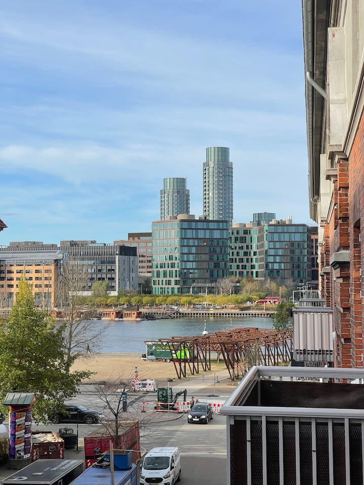 Bright Flat With Sunny Balcony - Copenhague