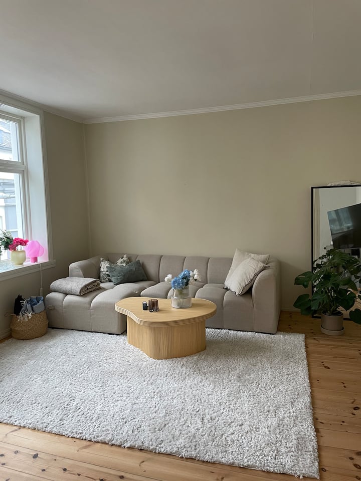 Sentral Og Koselig Leilighet - Bergen