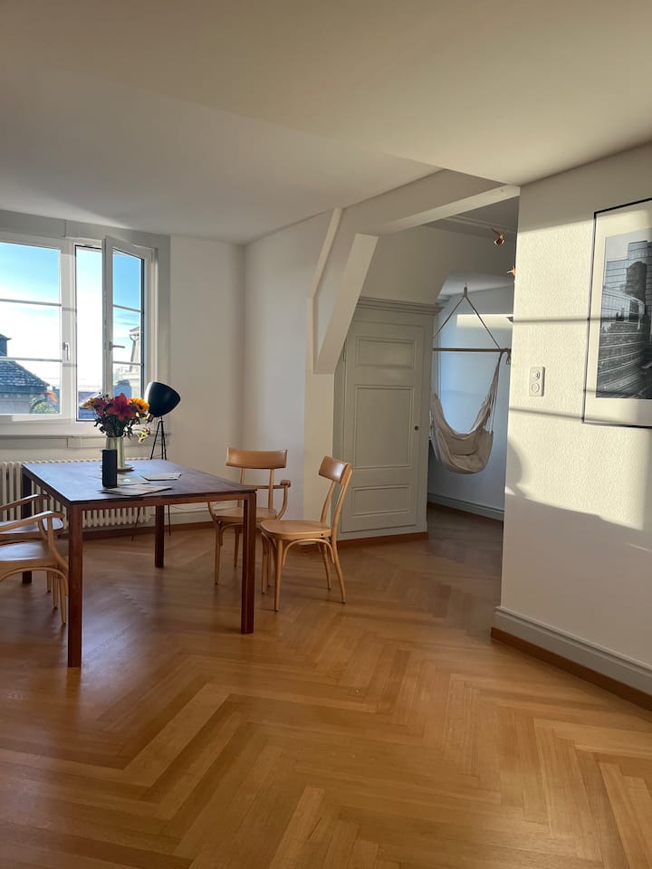 The Zurich Nest - Zurich