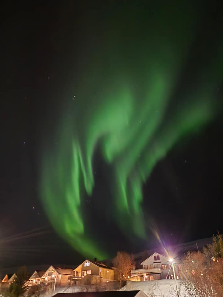 Arctic Escape With Northern Lights & Reindeer - Tromsø