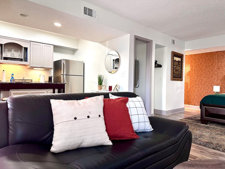 City View Nrg|medical Center|king Bed|free Parking - Houston, TX