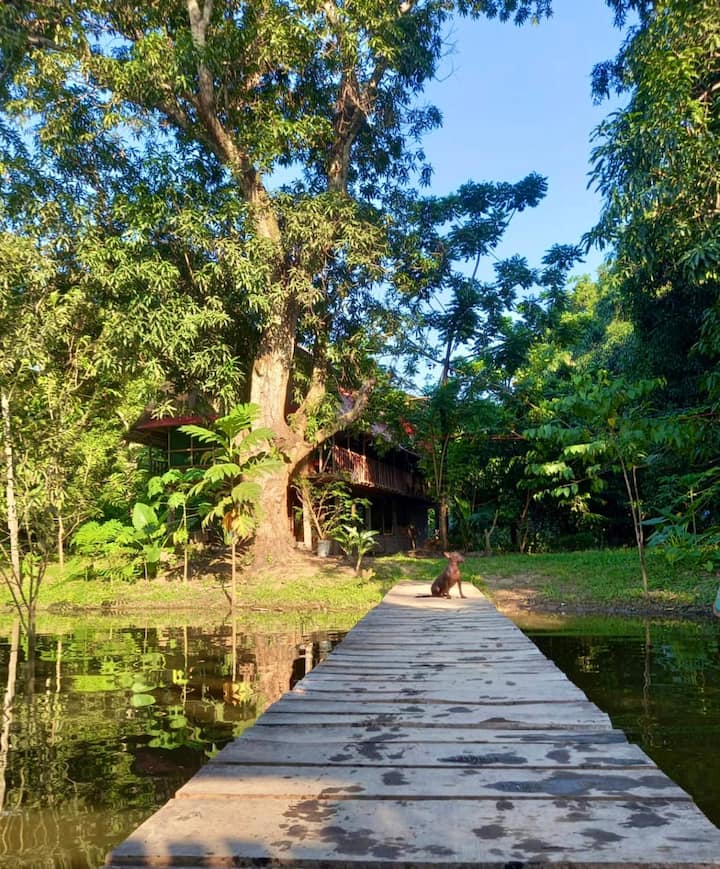 Pucallpa ~ Cabin By Lagoon - Pucallpa