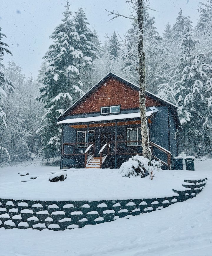 3 Acres/hottub/coffee Bar/fire Pit/ev/dog Friendly - Ashford, WA