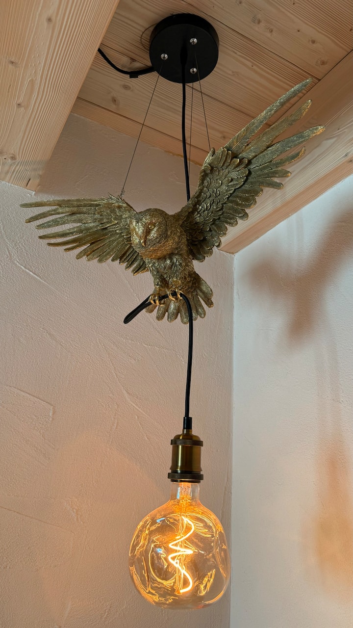 Il Gufo Dorato Del Maso K - Folgaria